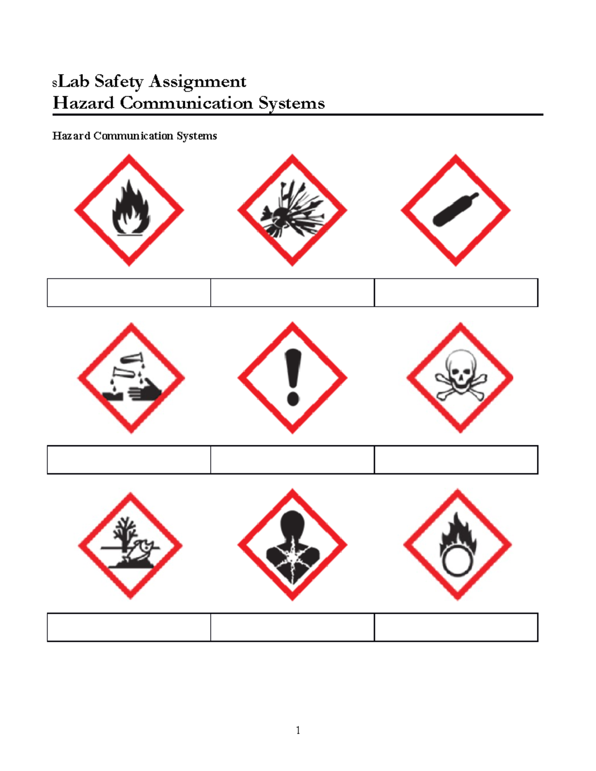 Safety Assignment worksheet - SLab Safety Assignment Hazard ...