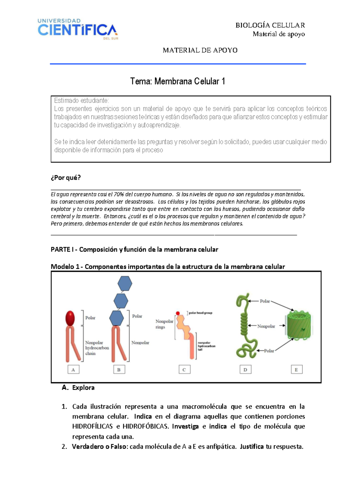 Biolog%C3%ADa+Celular Material+de+apoyo+para+cuarta+sesi%C3%B3n 2 16 ...