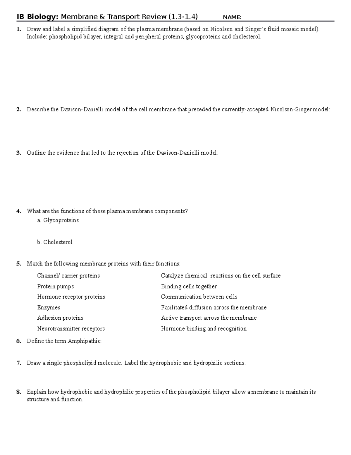 Membrane & Transport Review (1.3-1.4) - IB Biology: Membrane ...