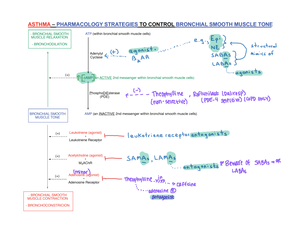 Acne Student full+note+packet - BPO - topical combination - oral ATB ...