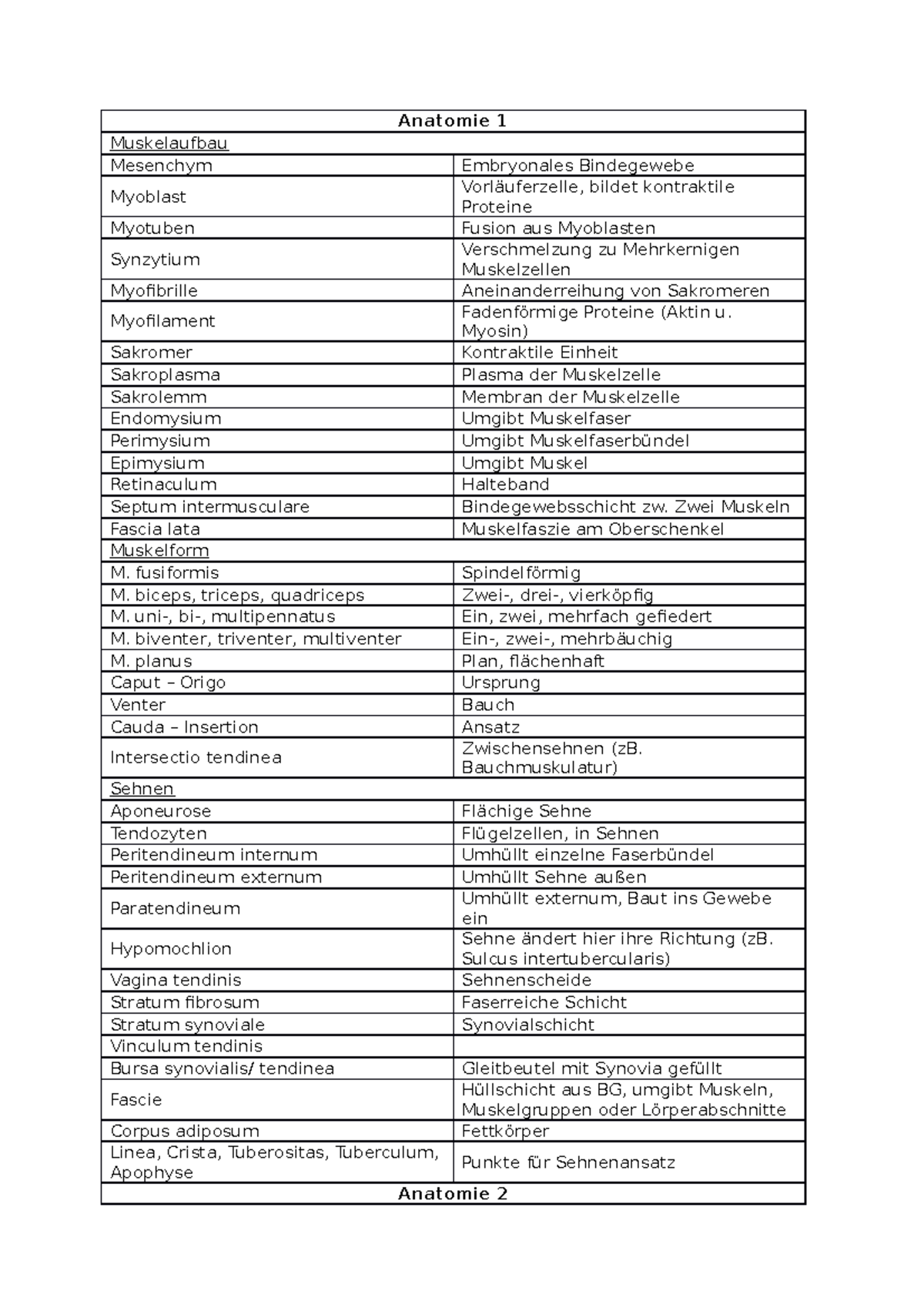 Anatomie Begriffe - Anatomie 1 Muskelaufbau Mesenchym Embryonales ...