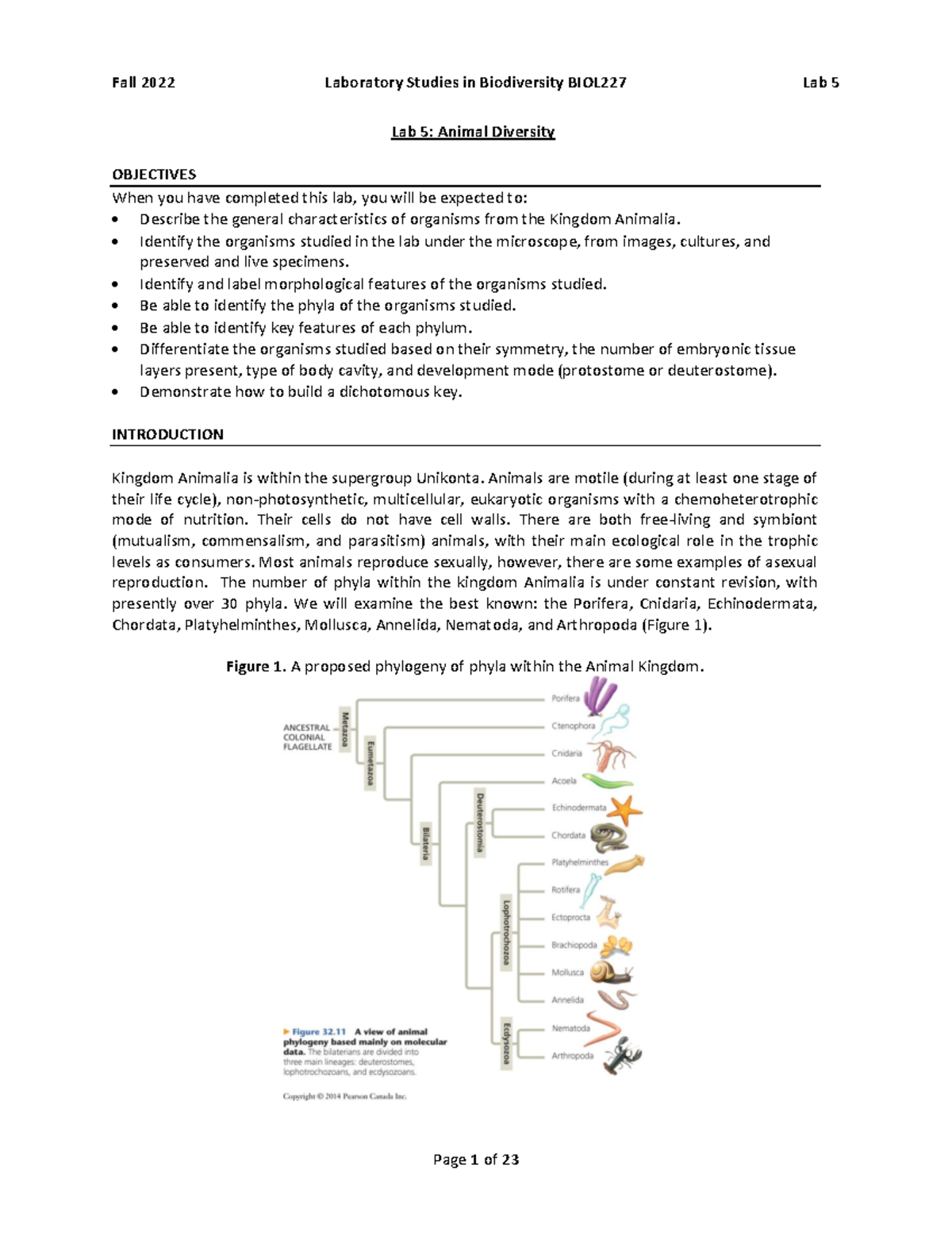 Lab 5 - lab 5 for BIOL 227 academic year 2022/2023 - Lab 5 : Animal ...