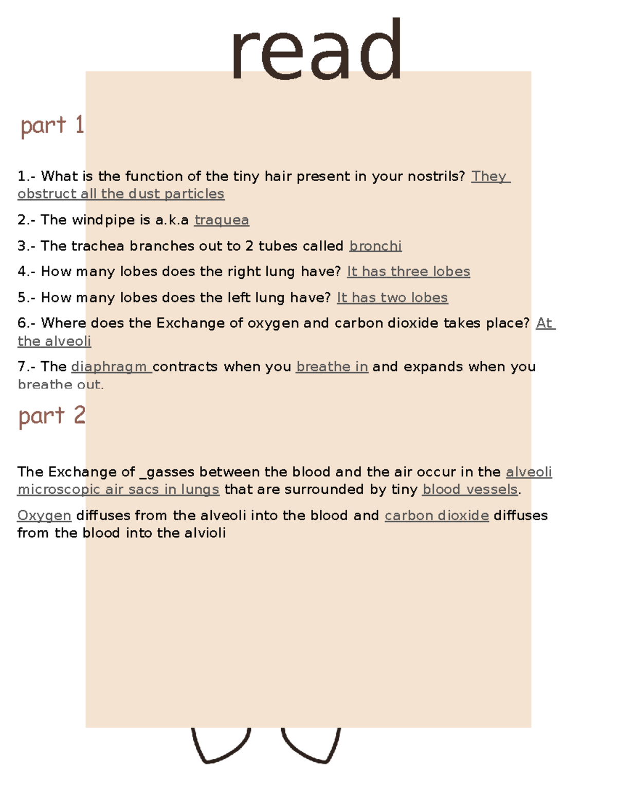 Reading TEST four with all the answers needed uhouh ouhoi guhbob ...