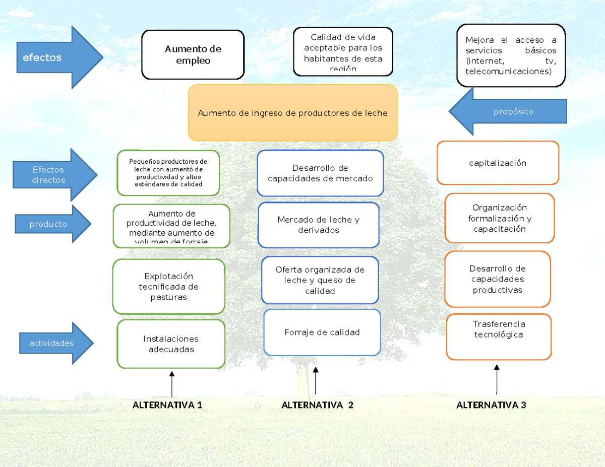 Arbol objetivos - vvvvvvv - ALTERNATIVA 1 ALTERNATIVA 2 ALTERNATIVA 3 ...