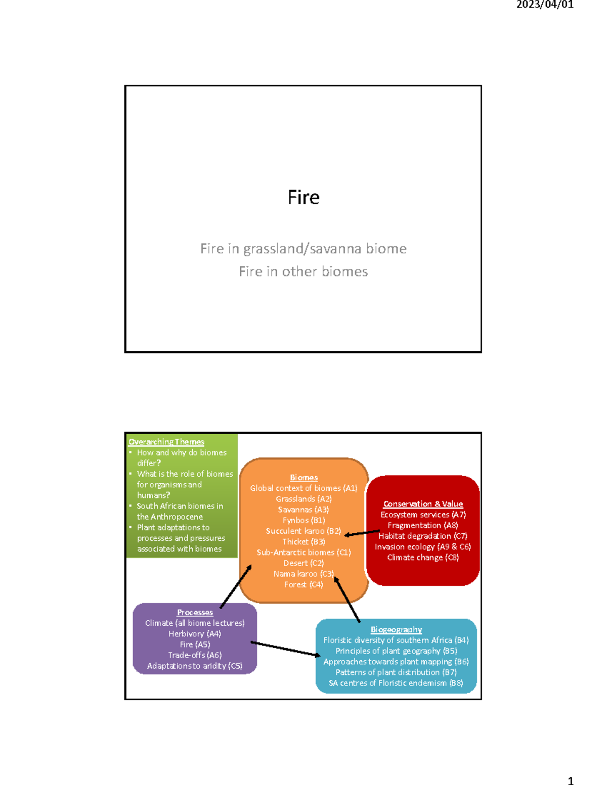 BOT251 Fire - Fire Fire in grassland/savanna biome Fire in other biomes ...
