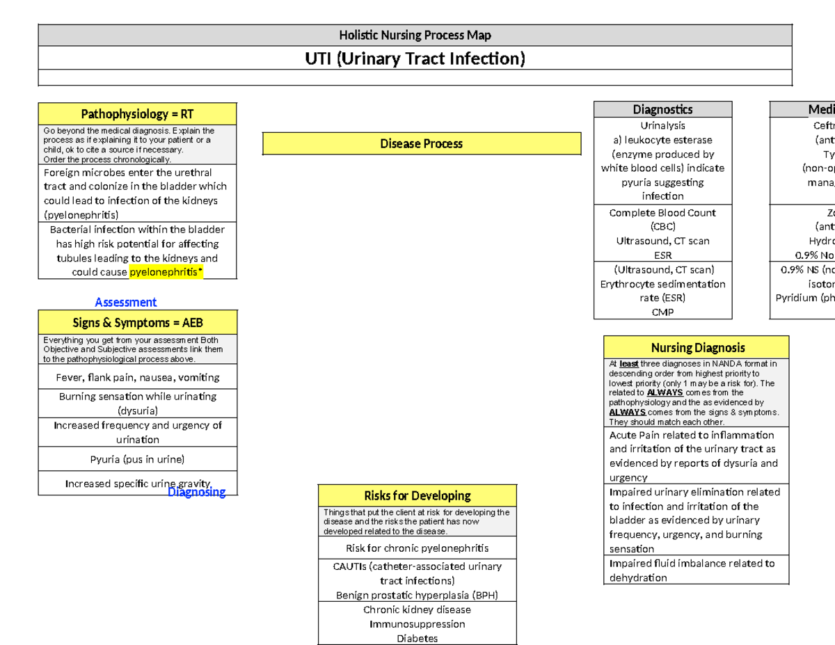 iHuman R Emery Care Map - Holistic Nursing Process Map UTI (Urinary ...