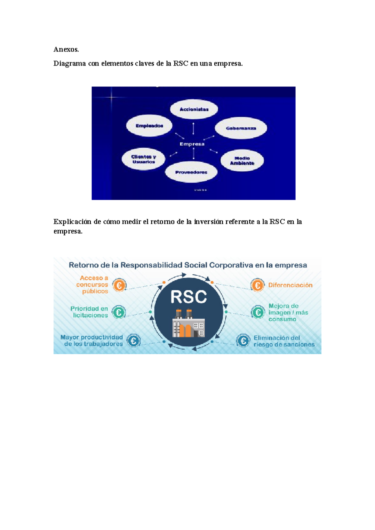 Anexos RSC - Anexos. Diagrama con elementos claves de la RSC en una ...