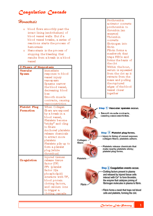 Gordon’s 11 Functional Health Pattern - MIDTERMS- HEALTH ASSESSMEN ...