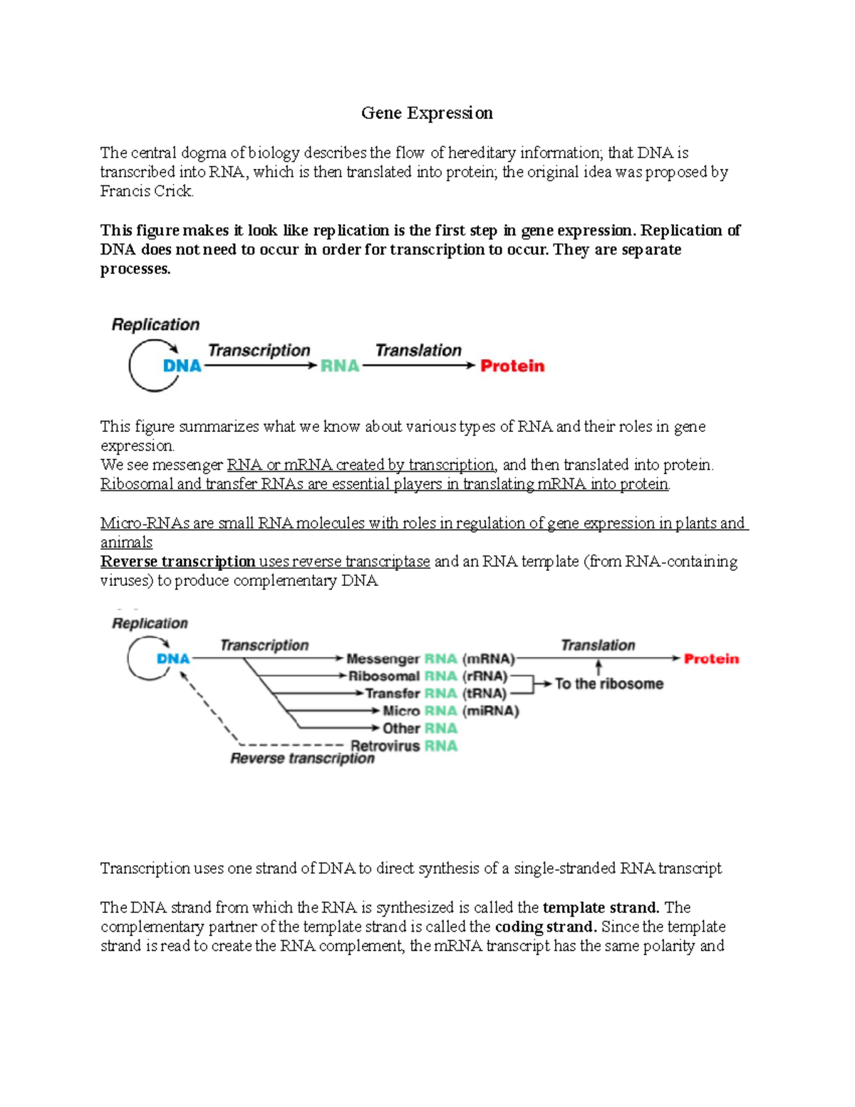 Gene Expression - Gene Expression The central dogma of biology ...