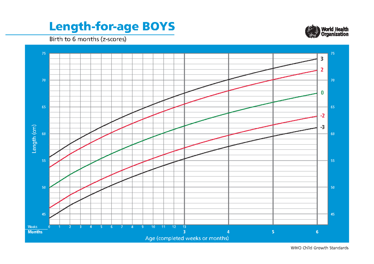Chts boys z - good - Length-for-age BOYS Birth to 6 months (z-scores ...