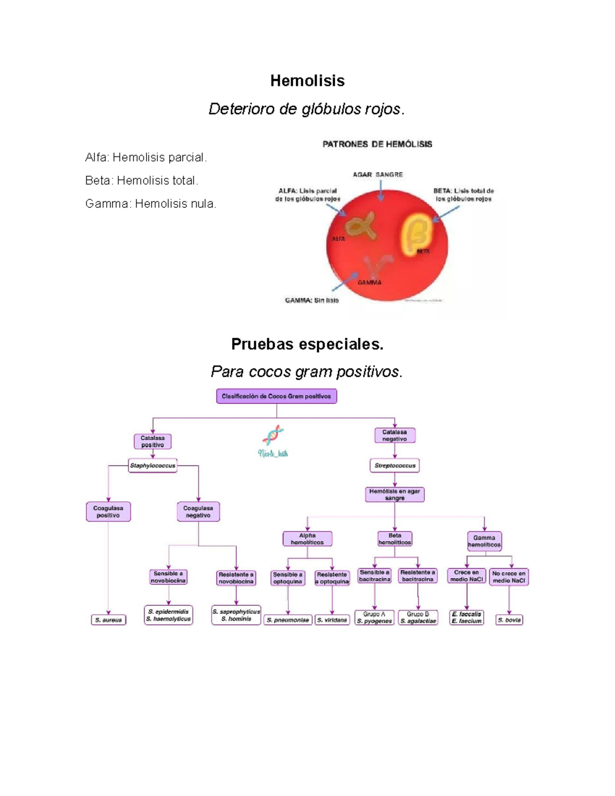 Estudio aydee-1 - Tipos de hemólisis y pruebas bioquímicas - Hemolisis ...