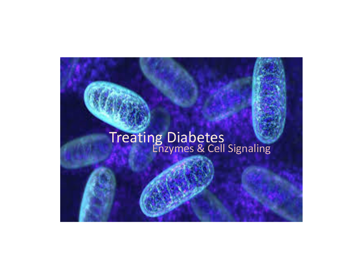 Treating Diabetes: Metabolism and Cell Signaling - Treating Diabetes ...