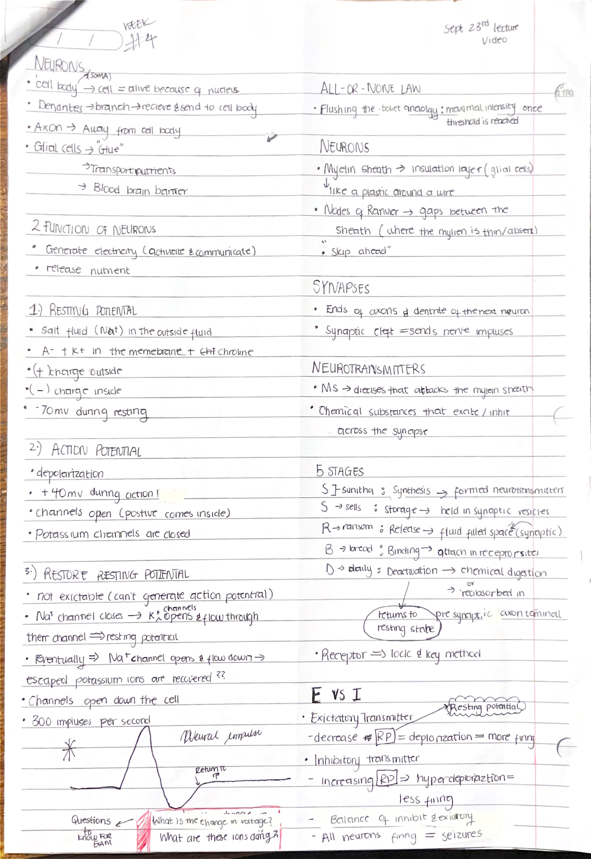 Week 4 notes - It is about Neurons - psych 104 - Studocu