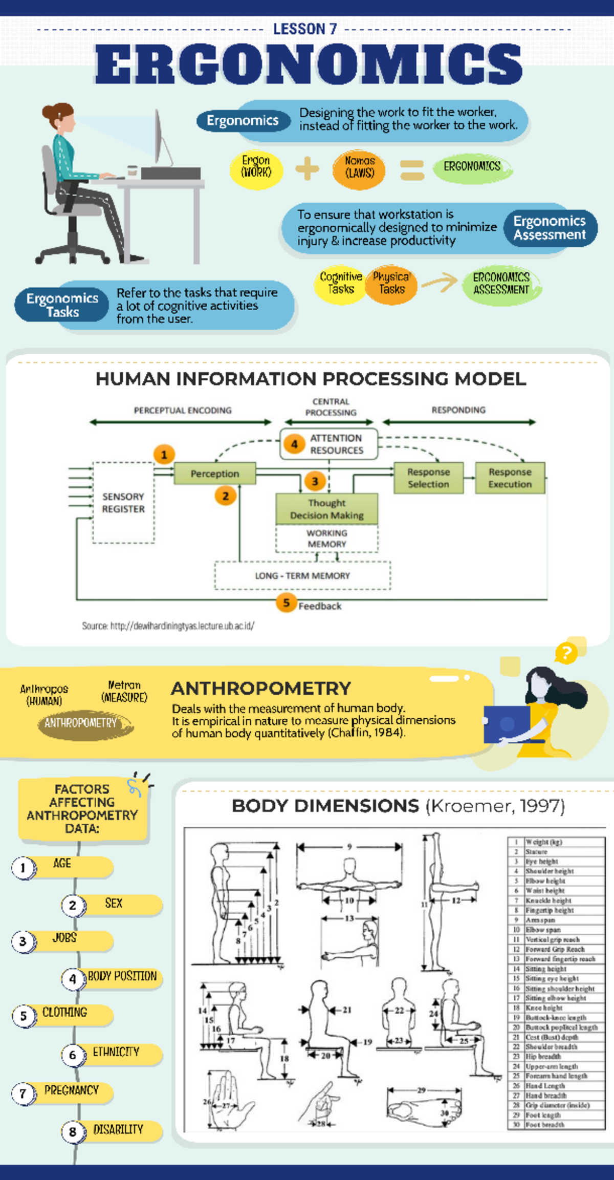 Ergonomics Infographics JAJABDBADa - Investment in Associates - Studocu