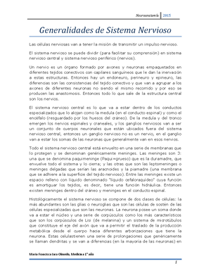 Control 2 anatomia humana teorico; columna a mediastino -TRONCO ...