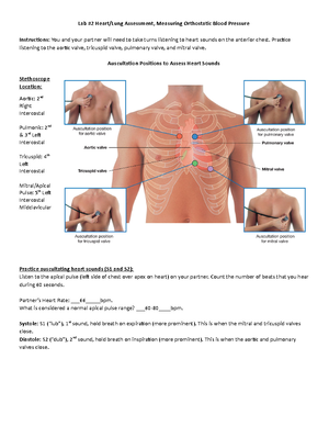 2 - Resting BP and HR Activity - RESTING BP, HR, BMI DATA FORM Client’s ...