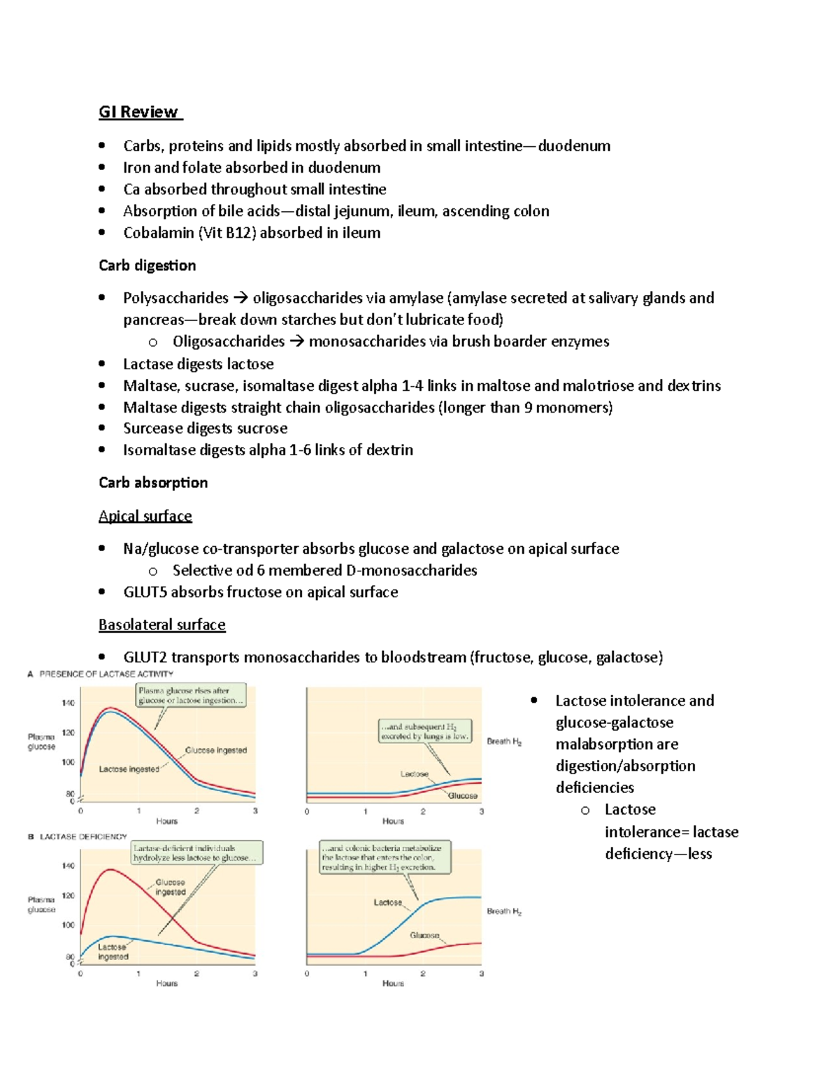 GI Review - GI Review Carbs, proteins and lipids mostly absorbed in ...
