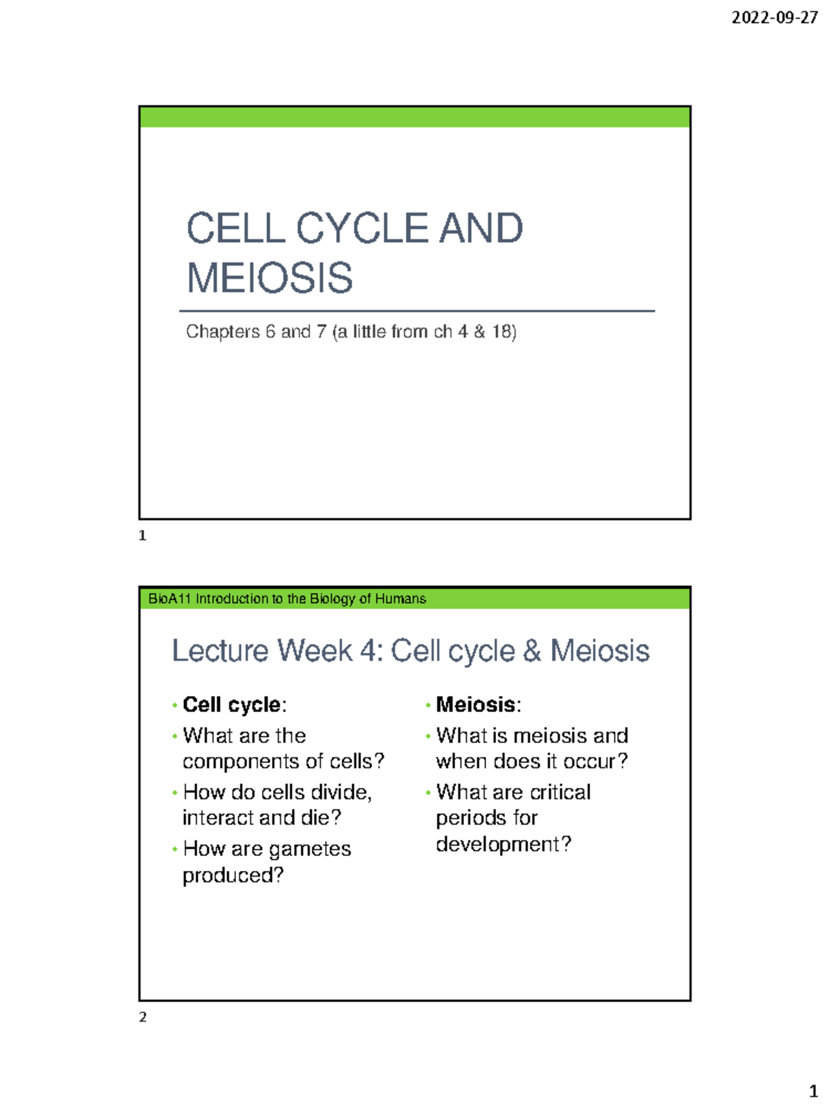 Lect 4 notes Cell cycle and Meiosis - CELL CYCLE AND MEIOSIS Chapters 6 ...