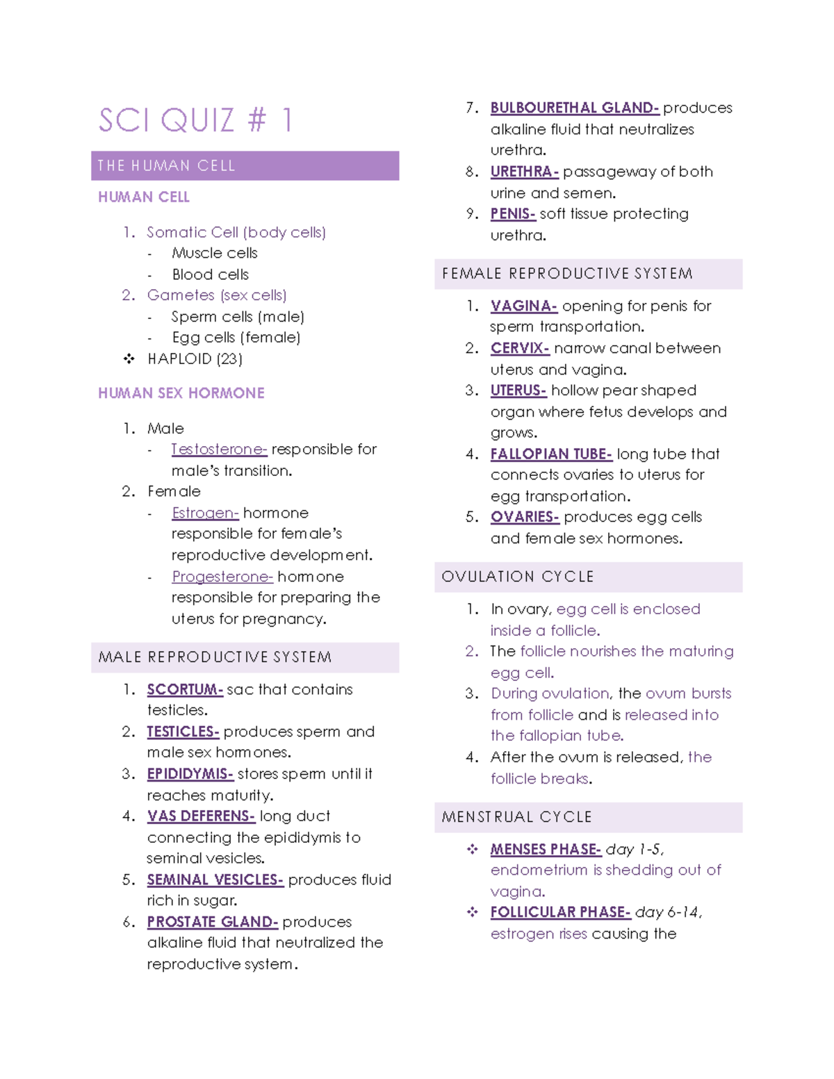 Science Q1 - SCI QUIZ # 1 THE HUMAN CELL HUMAN CELL Somatic Cell (body cells) Muscle cells Blood ...
