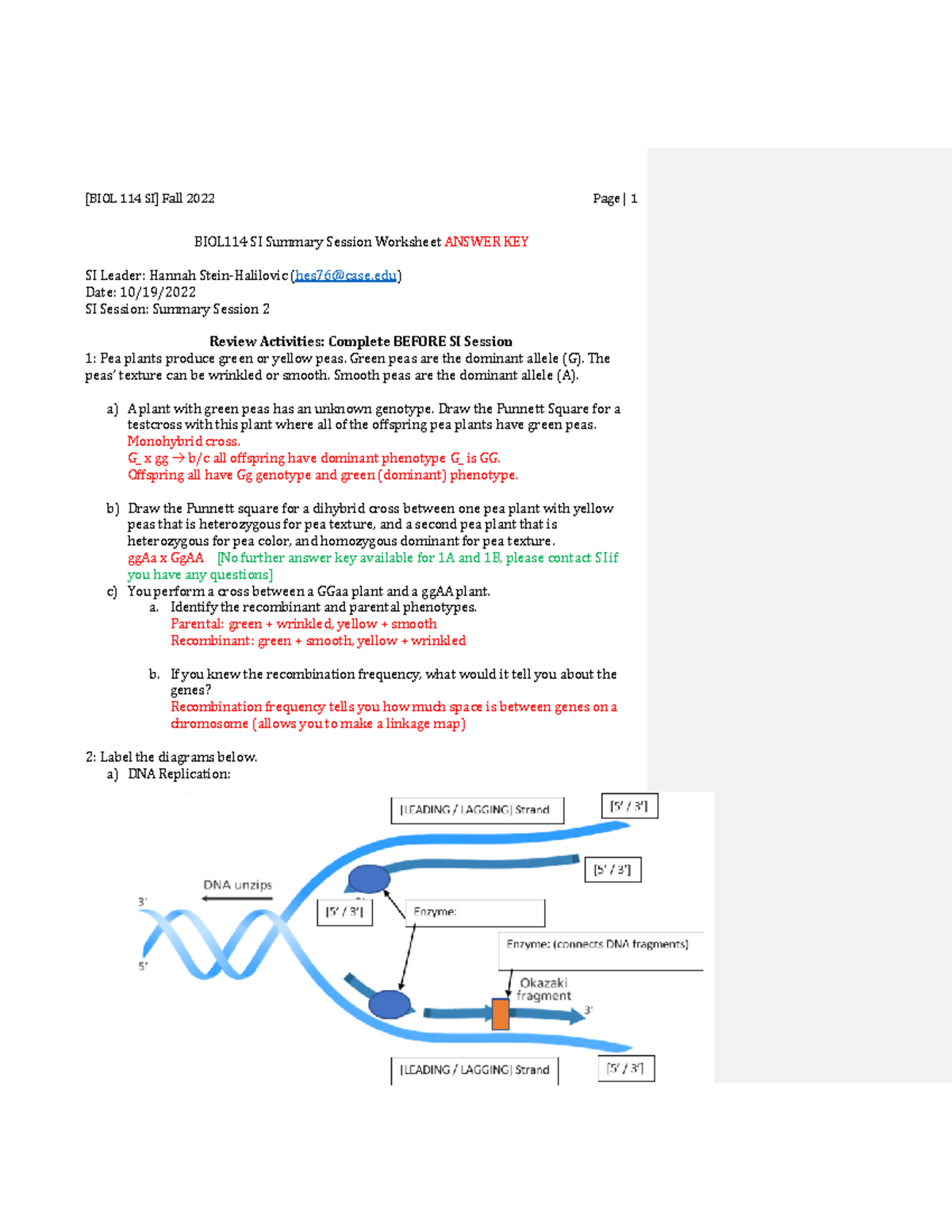 BIOL114 SI Summary Session 2 Worksheet AK - Green peas are the dominant allele (G). The peas ...