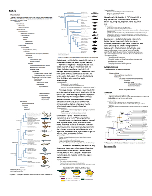 Zoology cheat sheet (Autosaved) (Autosaved) - Week 1: Axial = along the ...