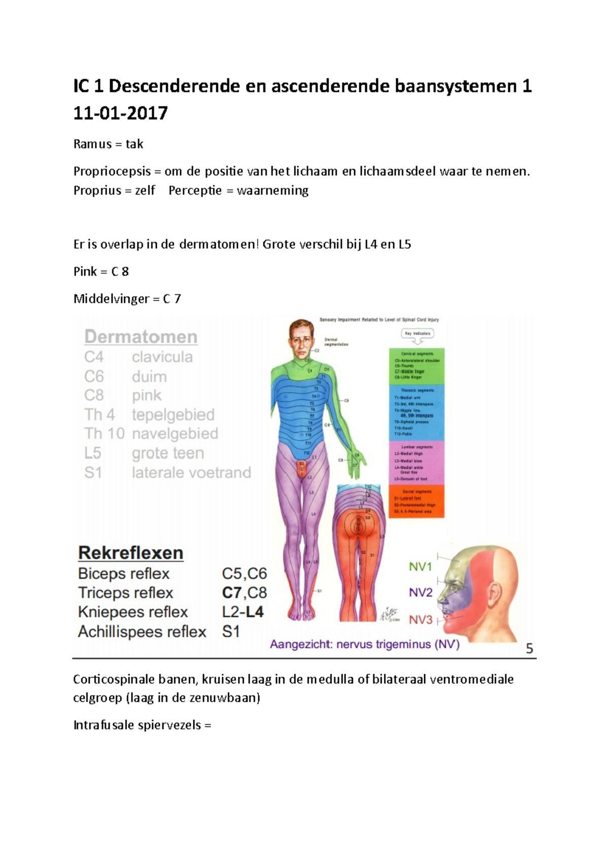 IC 1 Descenderende en ascenderende baansystemen 1 - Proprius = zelf ...