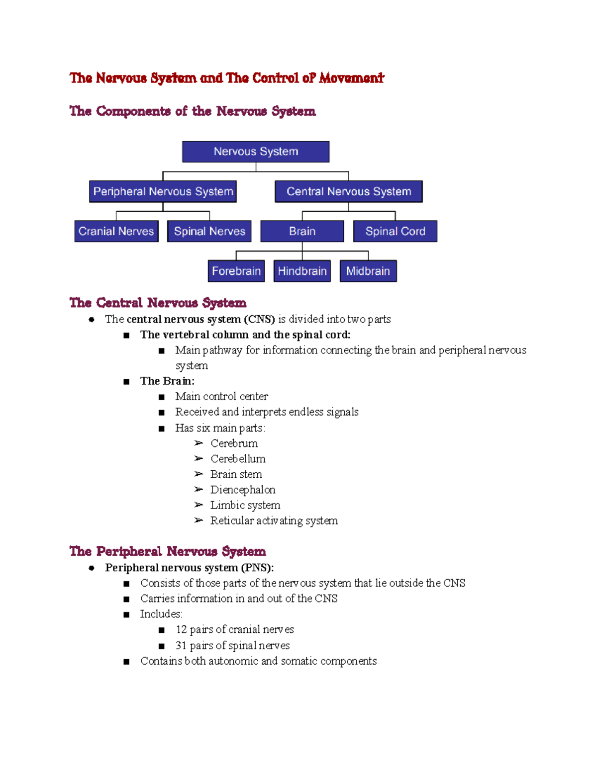 Nervous System Notes - enjoy! - The Nervous System and The Control of ...
