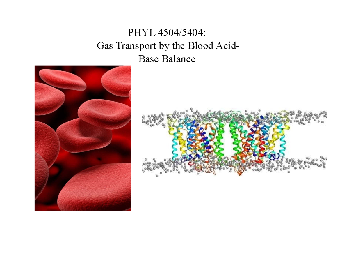 lecture-9-gas-transport-and-ab-balance-phyl-4504-5404-gas-transport