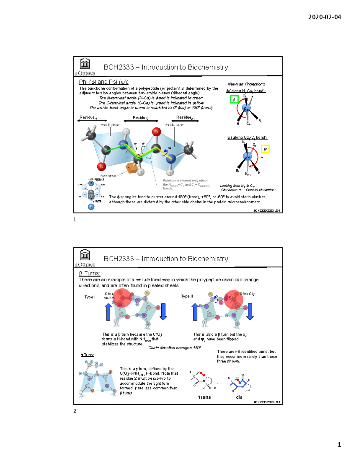 Lecture 8 Warning Tt Undefined Function 32 Bch2333 Introduction To Biochemistry Phi F