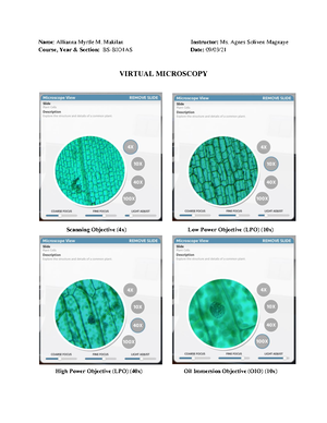 Leaf Pigmentation - Leaf Pigments Objective: Compares leaf pigments of ...