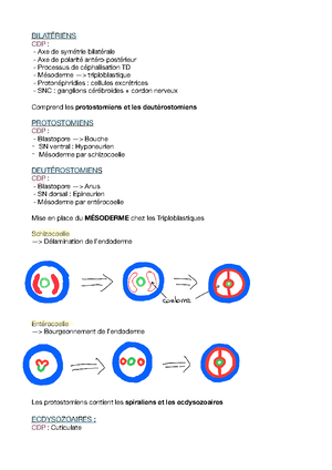 C2 les métazoaires - Fiche 1 : Les métazoaires Les métazoaires PLAN DU ...