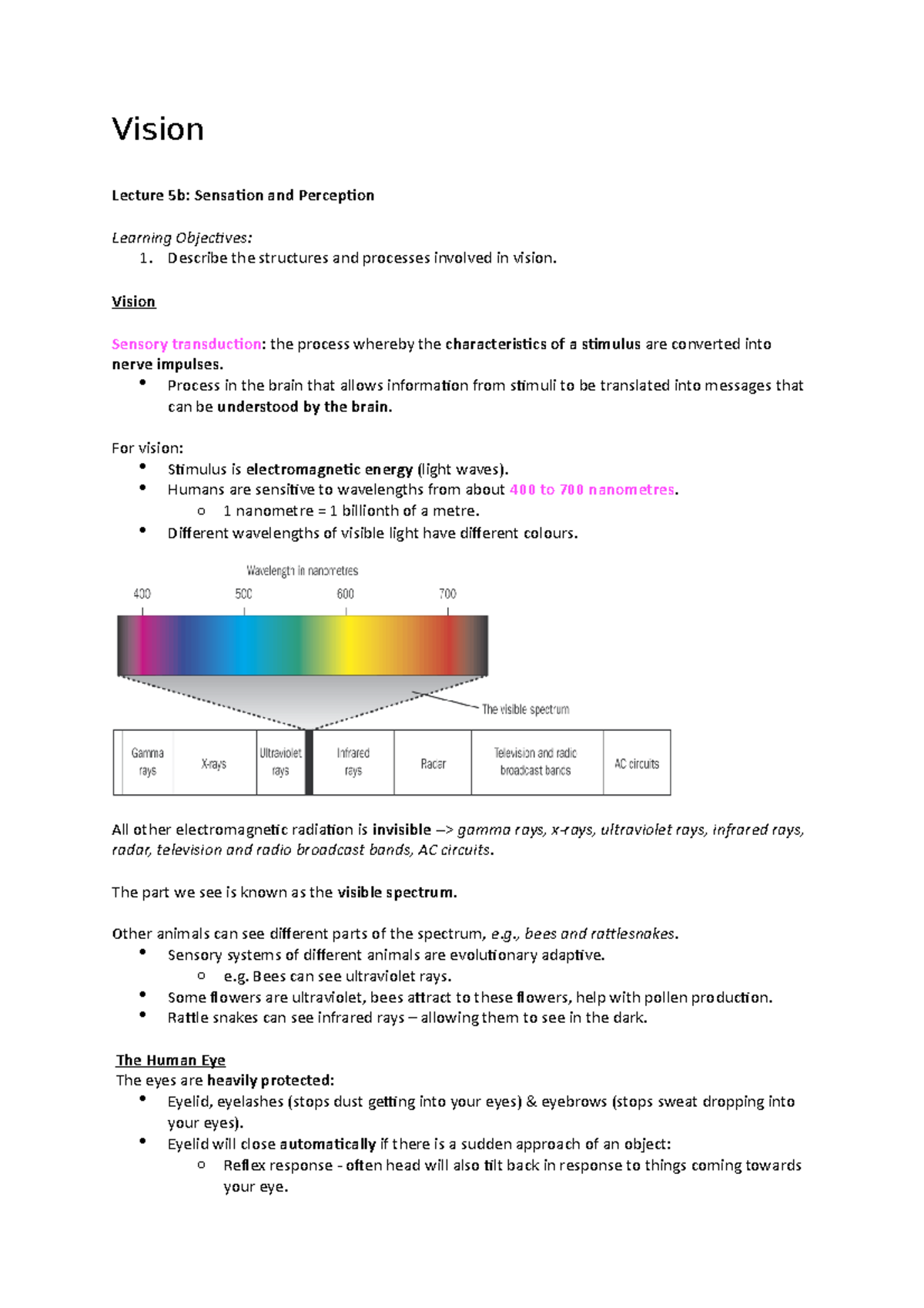 Vision Mind And Behaviour Lecture Notes Vision Lecture 5b Sensation And Perception Learning