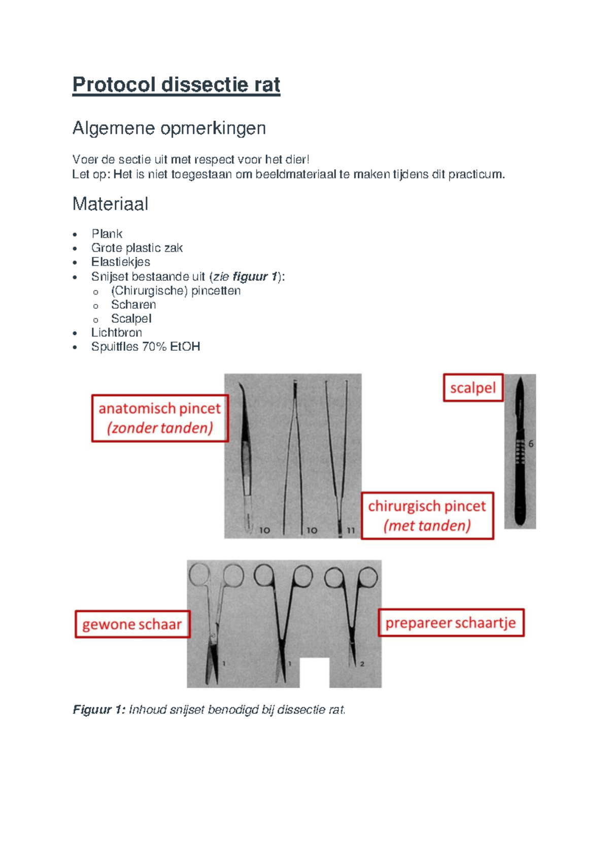 Anatomie van de rat - Protocol dissectie - Protocol dissectie rat ...
