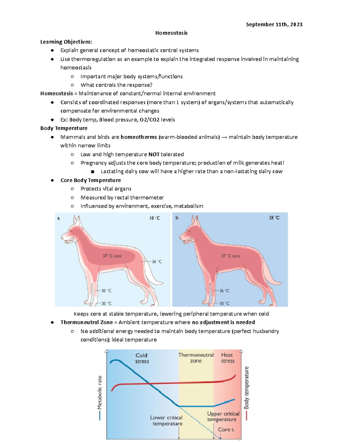 Lecture 1-3 Homeostasis - September 11th, 2023 Homeostasis Learning ...