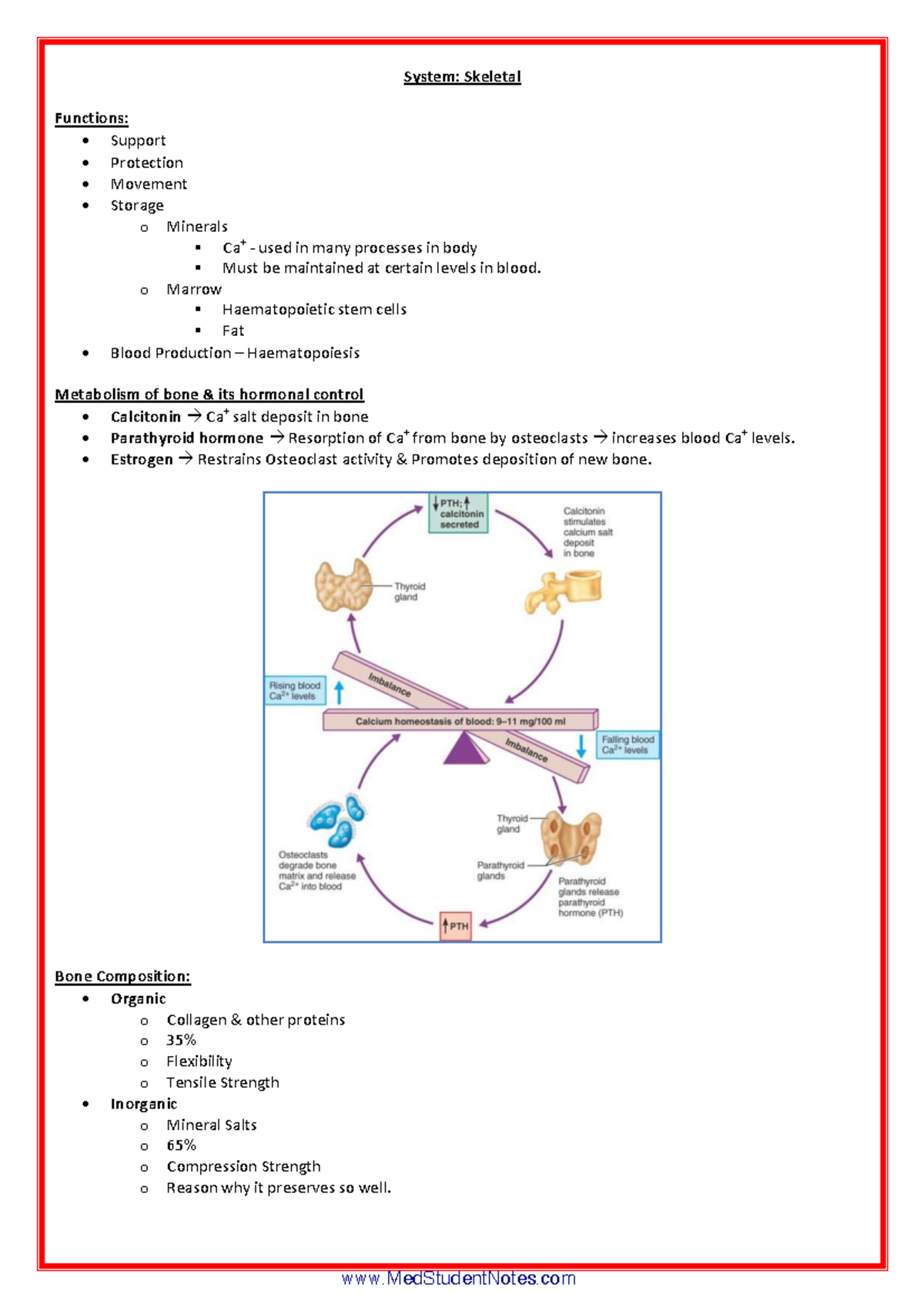 A&P - 2b. Skeletal System In Detail (24p) - System: Skeletal Functions ...