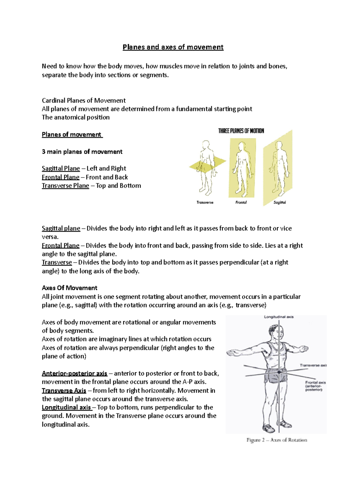Planes And Axes Of Movement Cardinal Planes Of Movement All Planes Of
