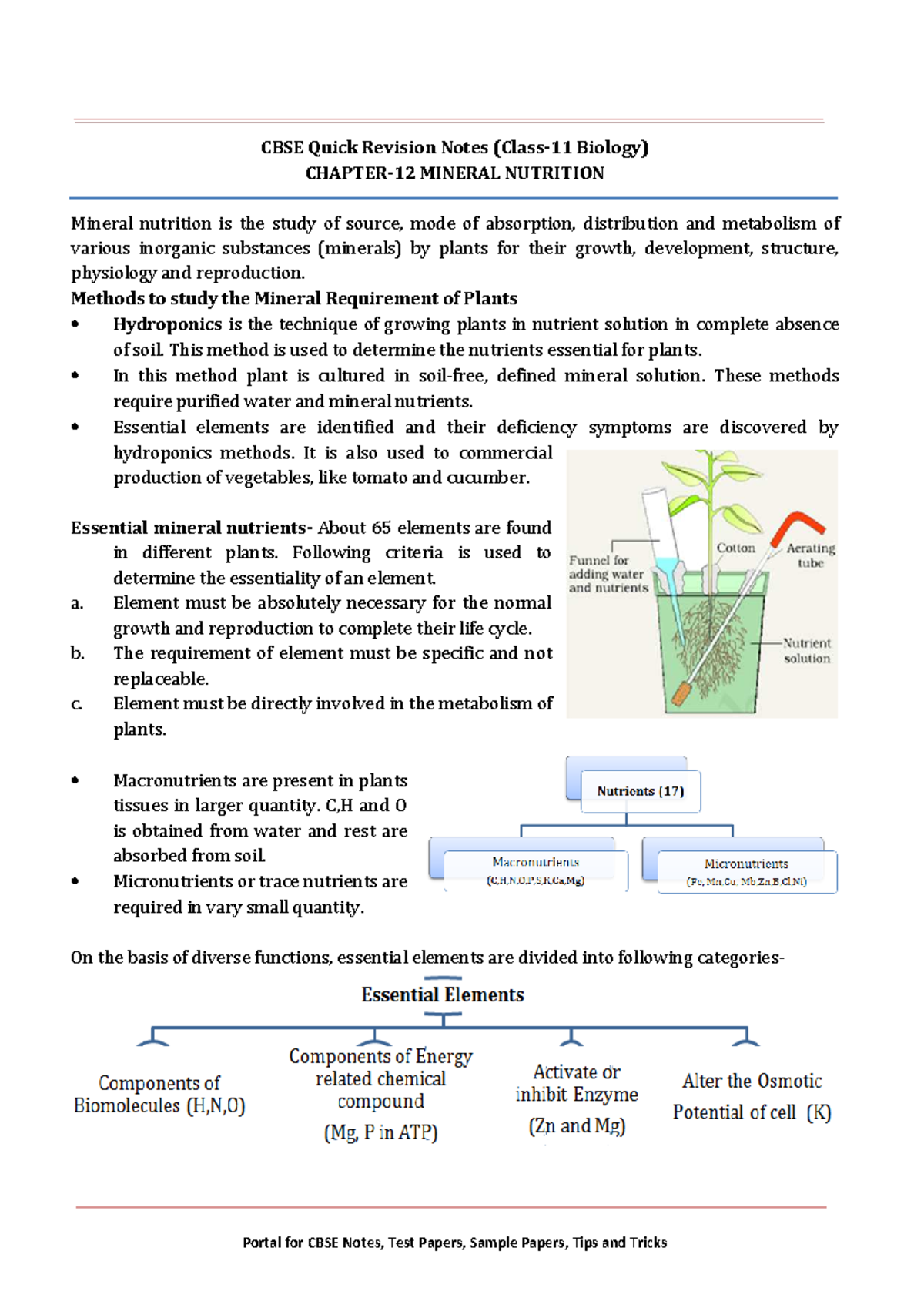 11 biology notes ch12 mineral nutrition - CBSE Quick Revision Notes ...