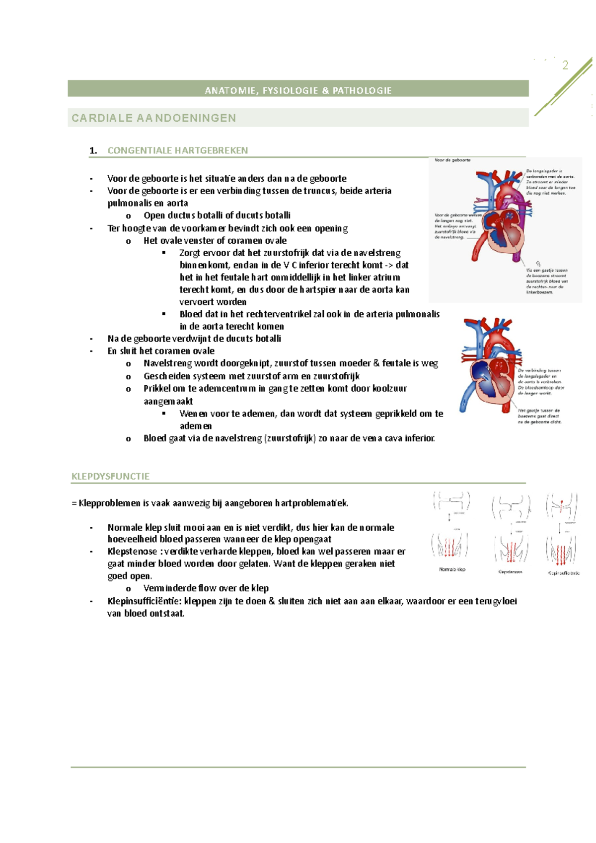 Anatomie - Cardiale aandoeningen - ANATOMIE, FYSIOLOGIE & PATHOLOGIE CARDIALE AANDOENINGEN 1 ...