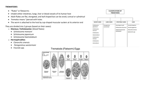 Finals Coverage Histo LAB 2 - Epithelium Lining: Stratified squamous epithelium. Type of Cells ...