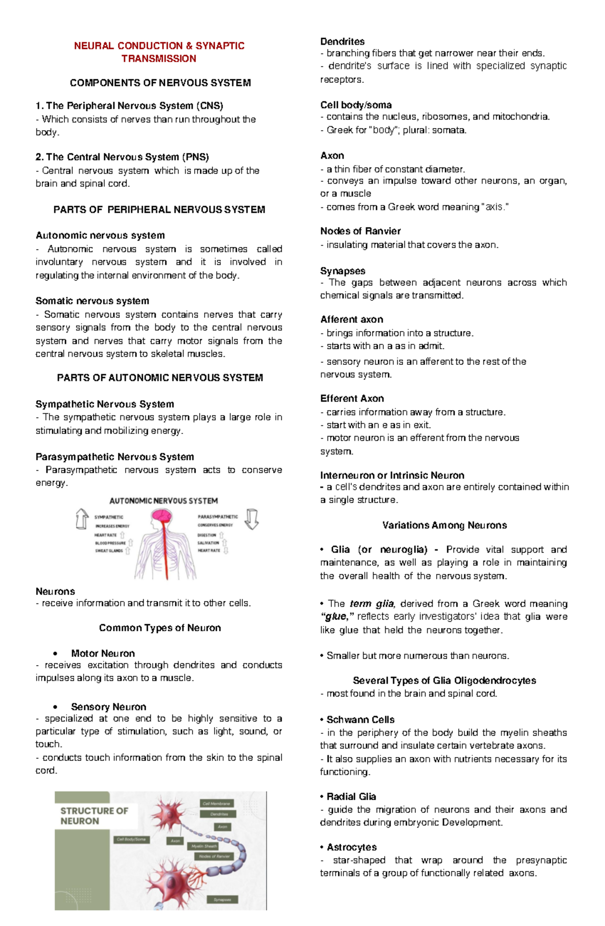 BIO- Psychology - Bs bio - NEURAL CONDUCTION & SYNAPTIC TRANSMISSION ...