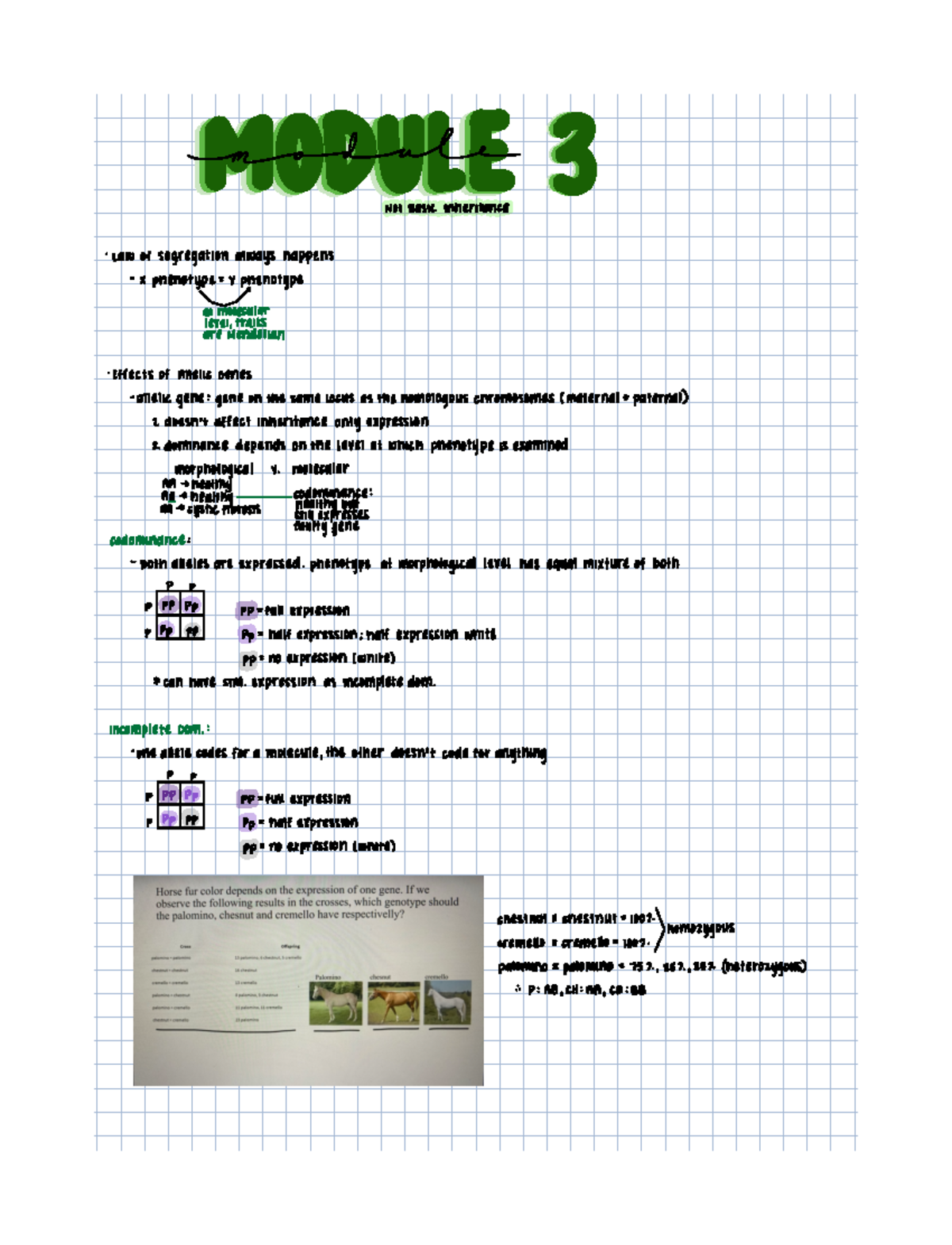 Module 3 Notes (PP) - DULtn 333 notBasicinheritance ...
