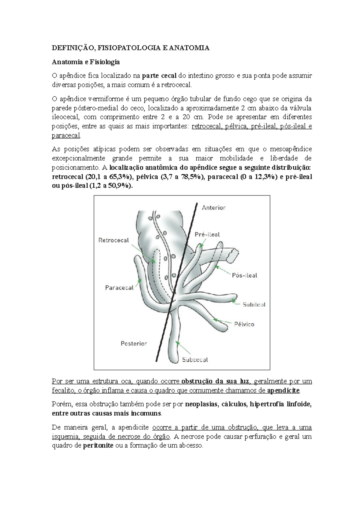 Apendicite fechamento - DEFINIÇÃO, FISIOPATOLOGIA E ANATOMIA Anatomia e ...