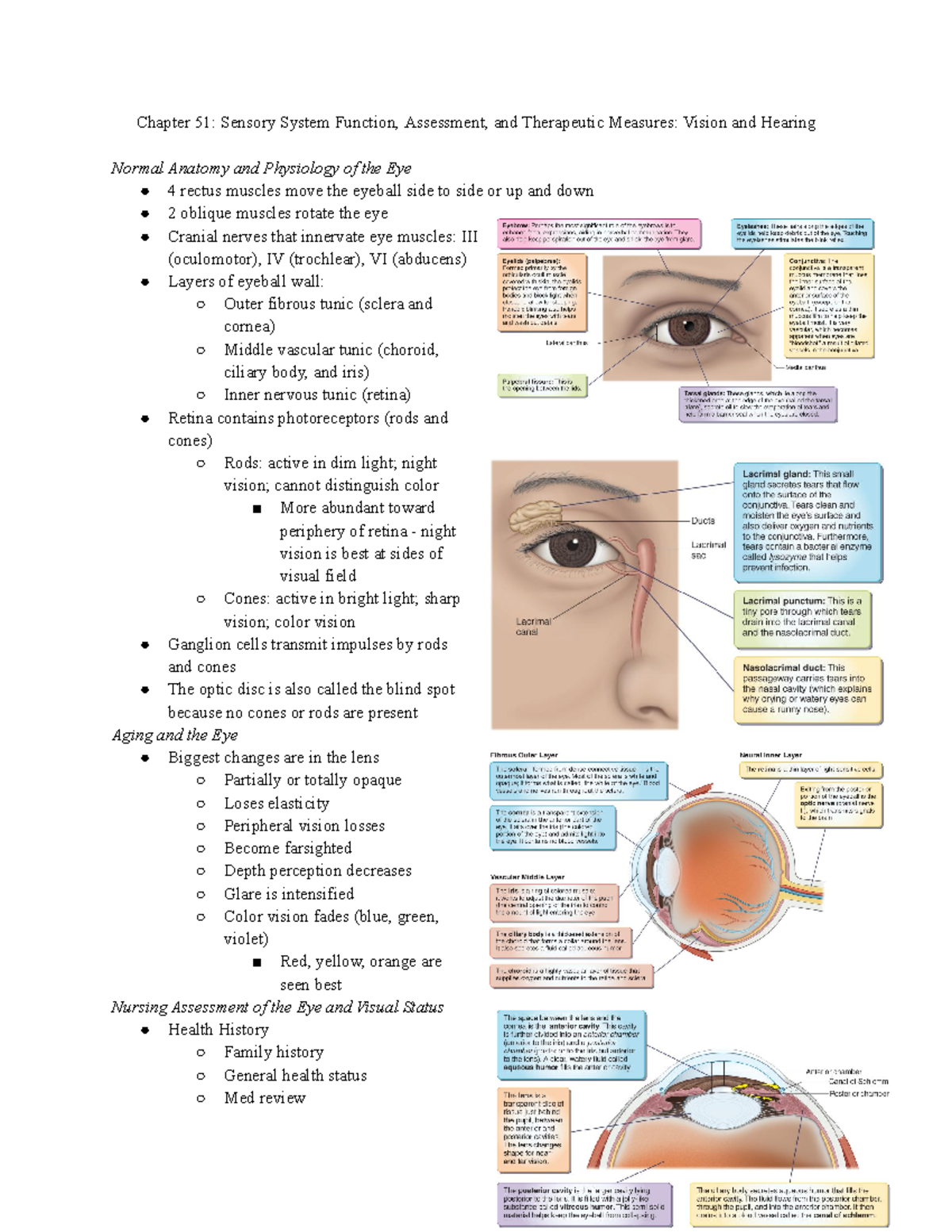 Chapter 51 Sensory System Function, Assessment, and Therapeutic ...