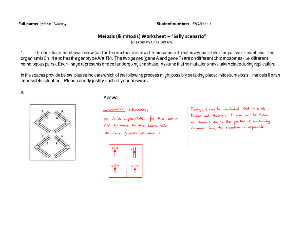 Worksheet #3 - Meiosis (and mitosis) with Sally 230124 231605 - Full ...