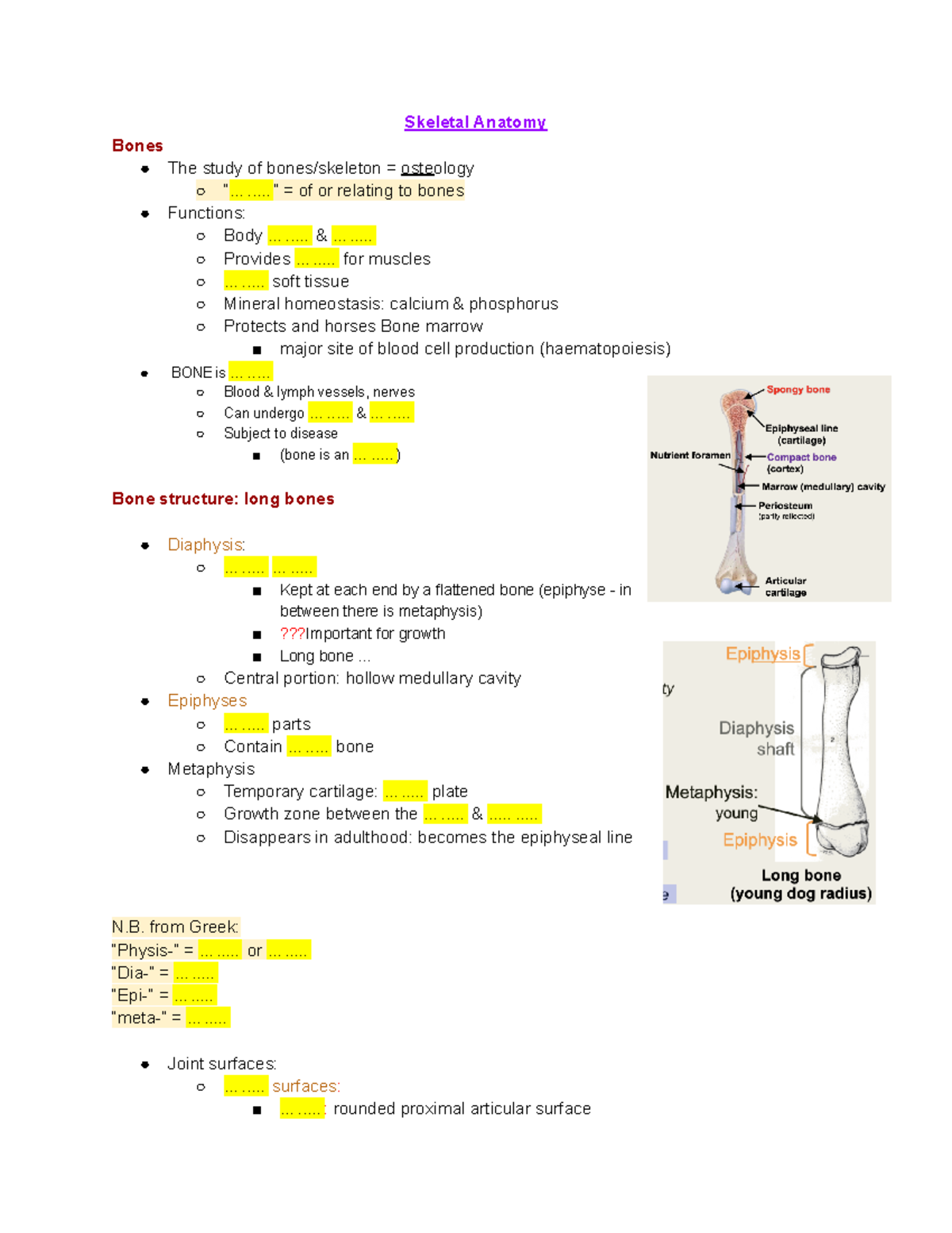 AVBS2007 Test Yourself 3 mod 1 exam - Skeletal Anatomy Bones The study ...