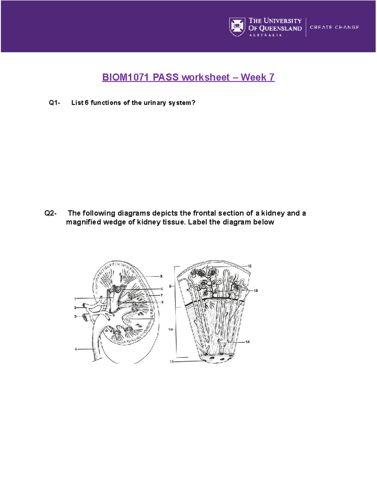 BIOM1071 PASS worksheet Week 7 - BIOM1071 PASS worksheet – Week 7 Q1 ...