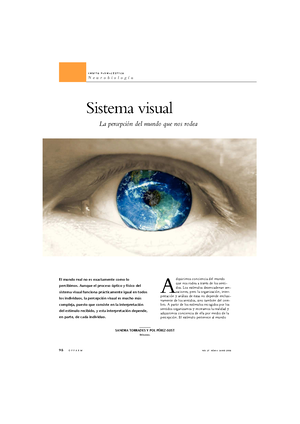 Percepción Humana - PSI2020 - UASD - Studocu