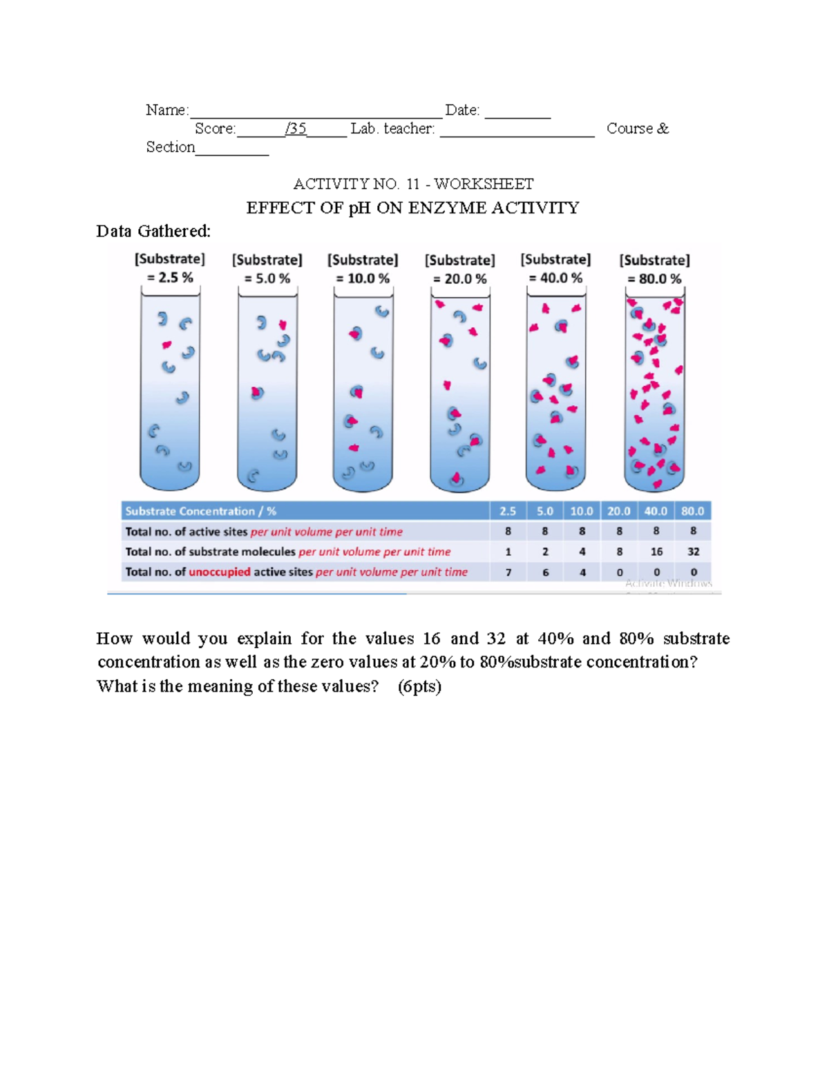 ACT 12 Worksheet - Effect OF Substrate Concentration ON Enzyme Activity ...