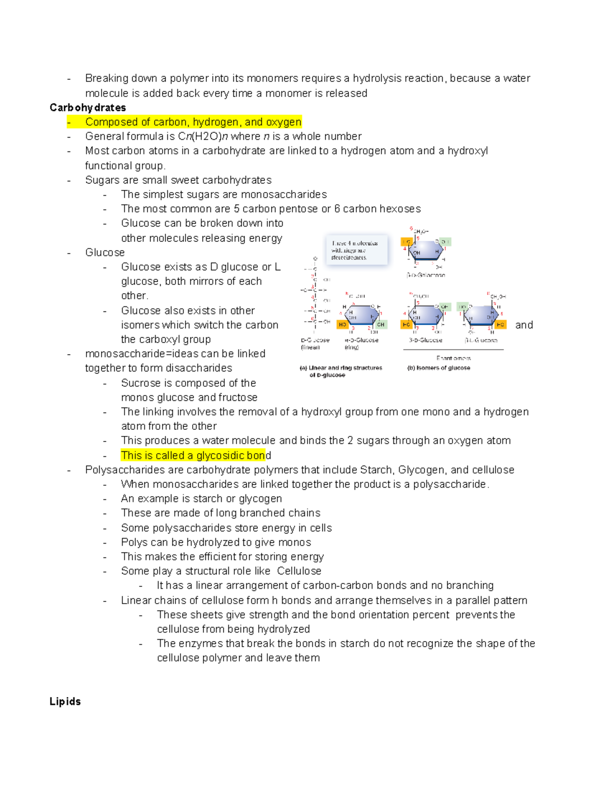 MCB Chapter 3 notes Part2 - Breaking down a polymer into its monomers ...