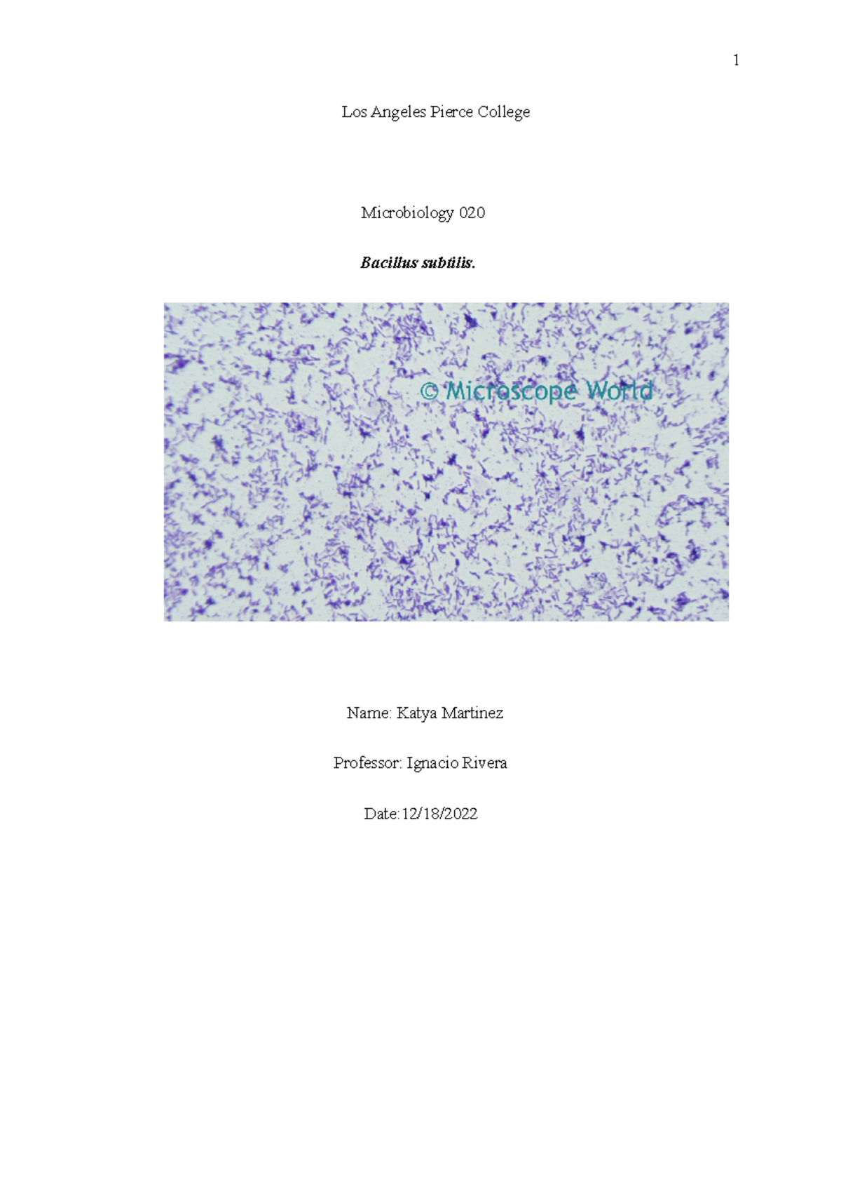Research paper unknown bacteria - Los Angeles Pierce College ...